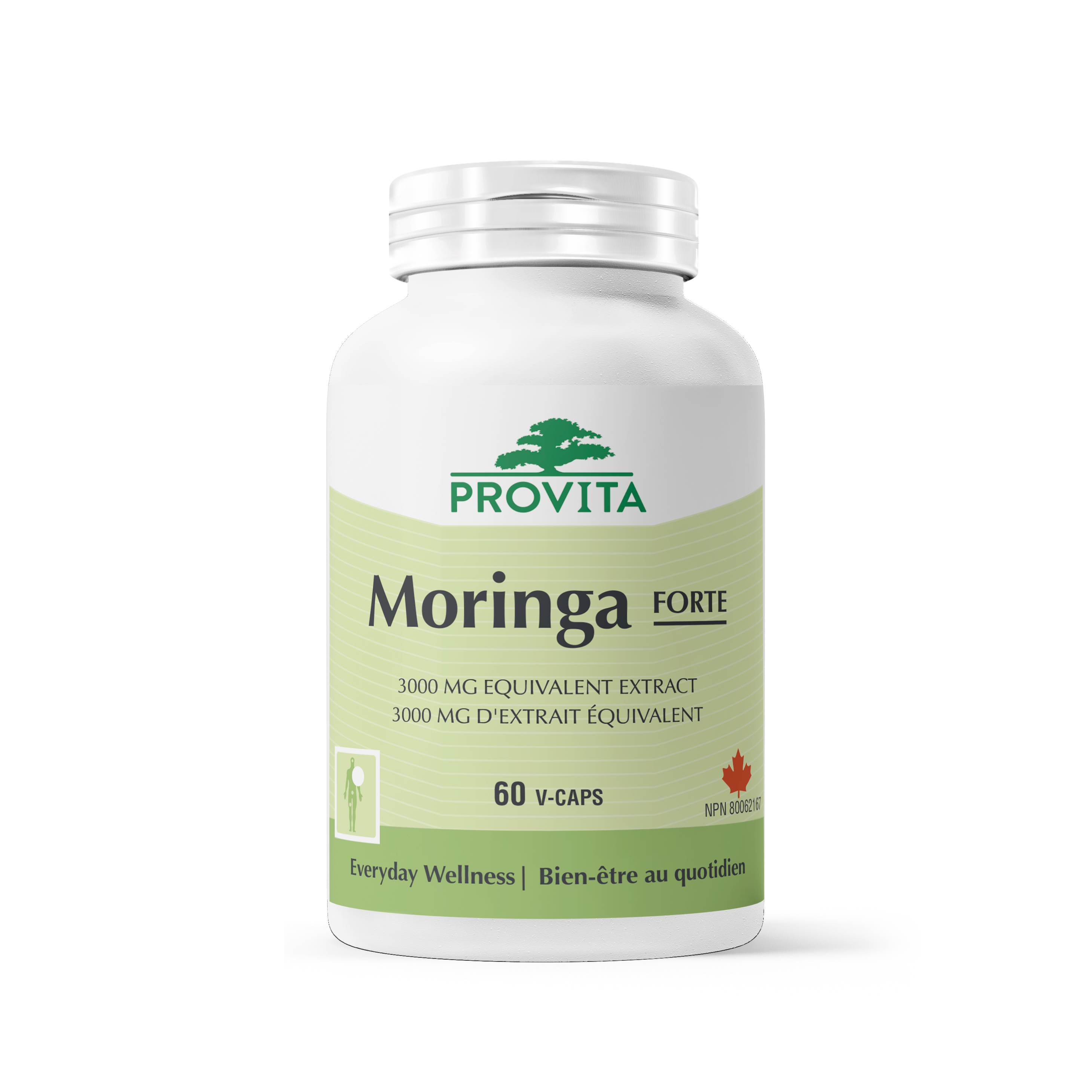 Moringa Forte - Nutrient-Rich Wellness Support – PROVITA NUTRITION & HEALTH
