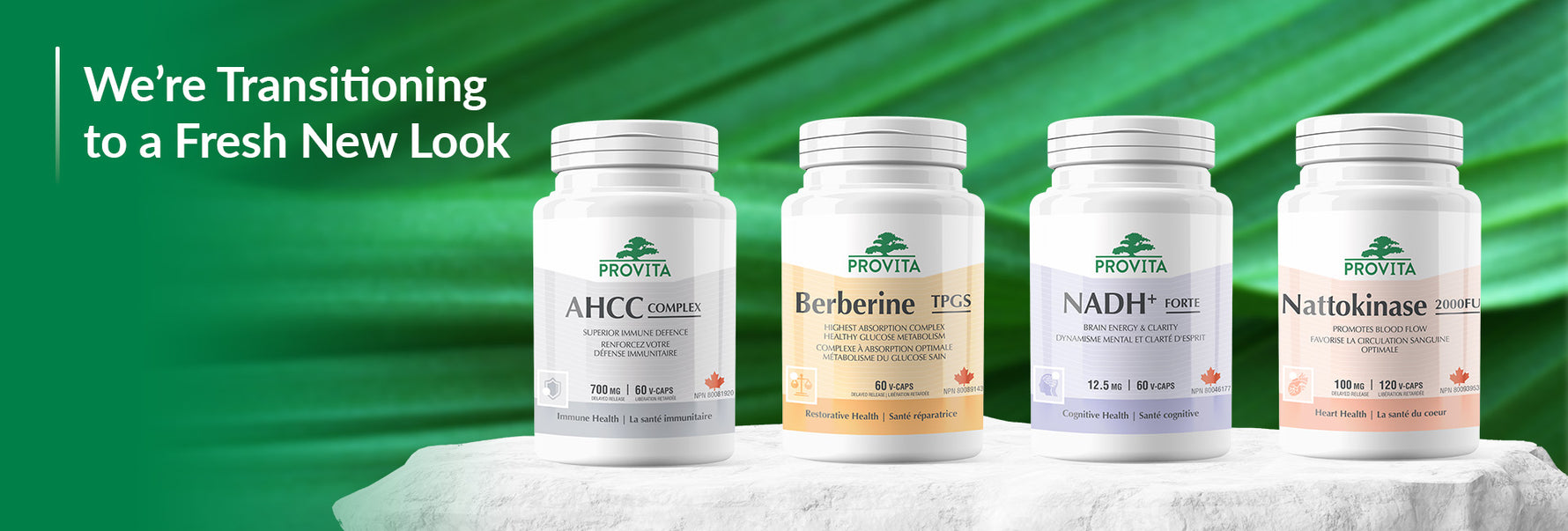 Provita Nutrition | Natural Health Supplements for Wellness – PROVITA ...