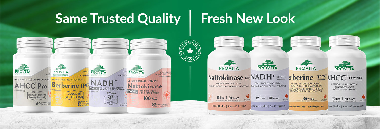 Provita Nutrition | Natural Health Supplements for Wellness – PROVITA ...