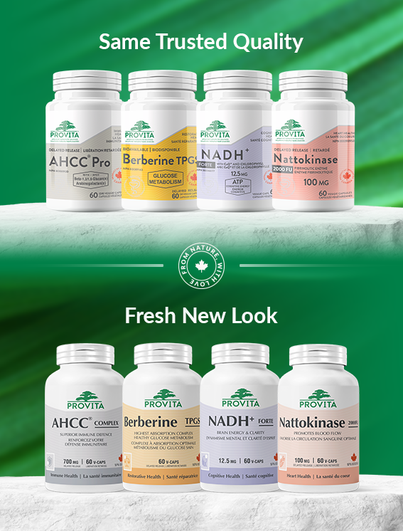 Provita Nutrition | Natural Health Supplements for Wellness – PROVITA ...