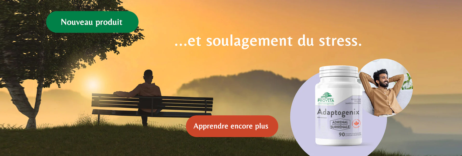 Provita Nutrition | Natural Health Supplements for Wellness – PROVITA ...